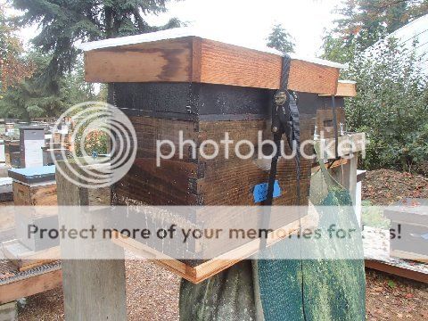 nuc stands | Beesource Beekeeping Forums